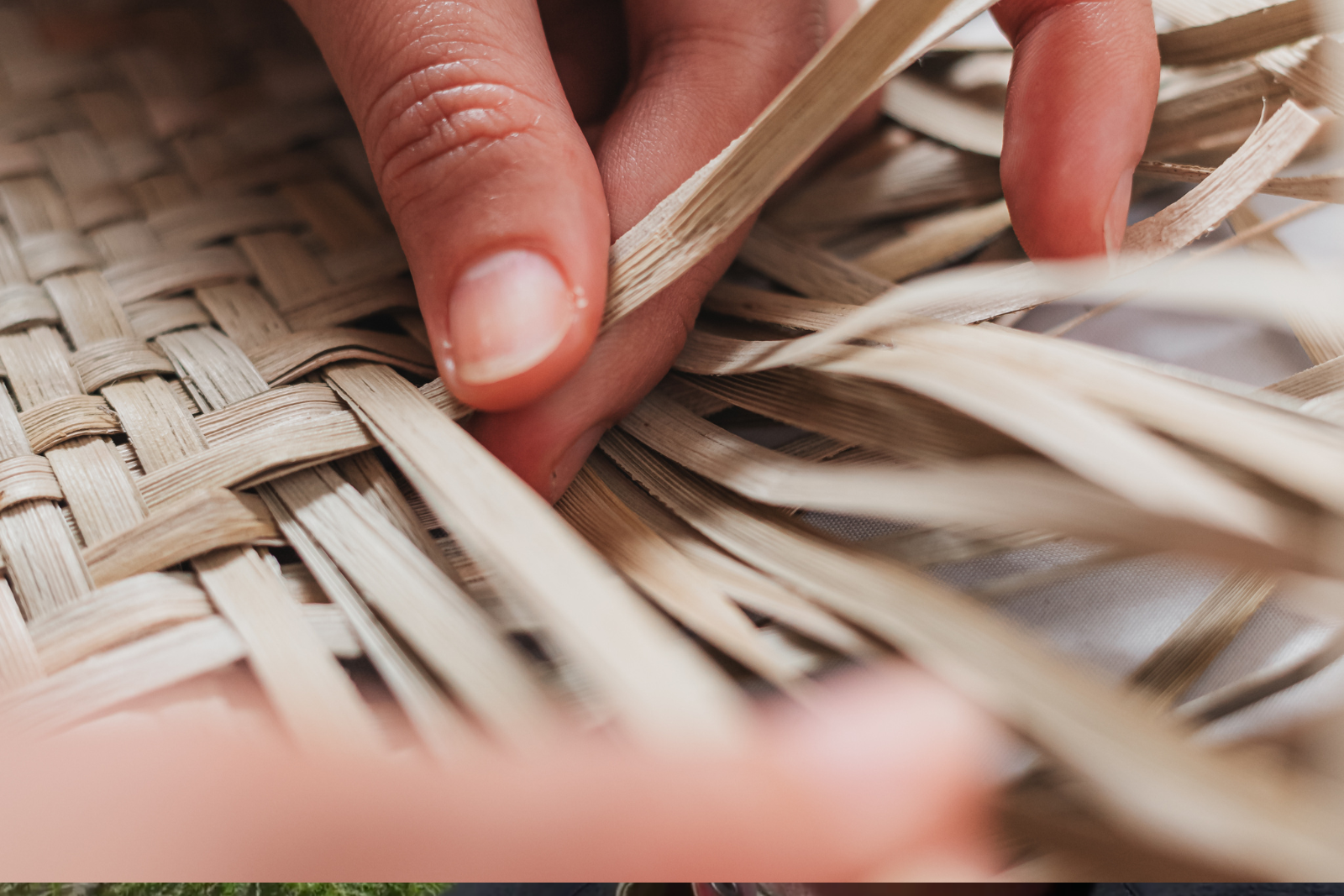 Primitive Skills in Maine - Wilderness Survival Training School