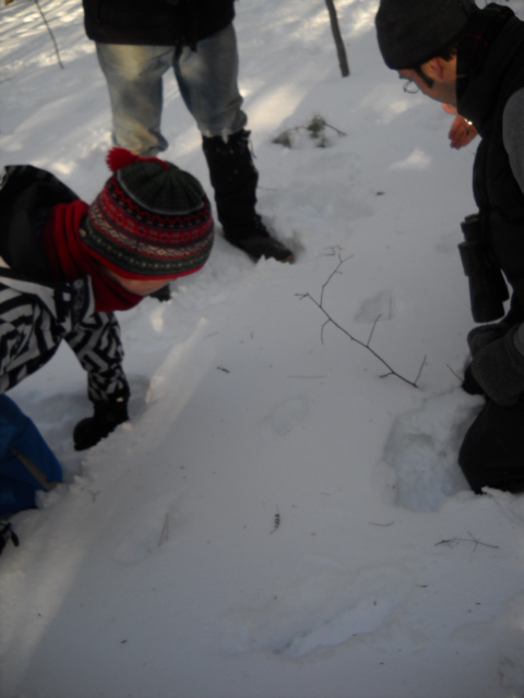 Fun Outdoor Activities for Kids While Creating ADVENTURES in the Winter ...