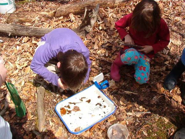 Exploring a Vernal Pool - Wilderness Survival Training School
